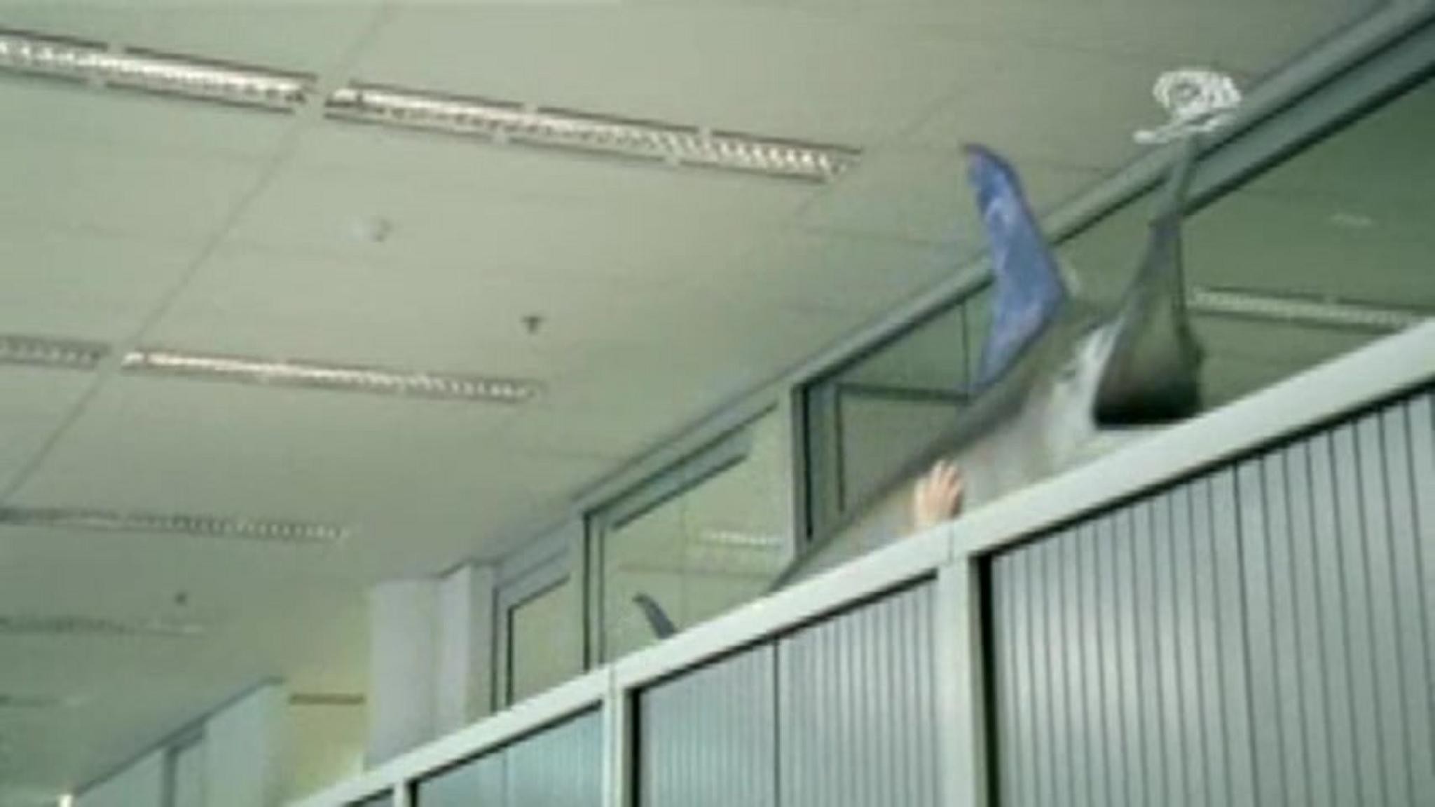 SGIC INSURANCE | Campaign | THE WORK