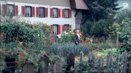 FINDUS FROZEN FOOD | Campaign | THE WORK