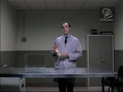 DYROACH INSECTICIDE | Campaign | THE WORK