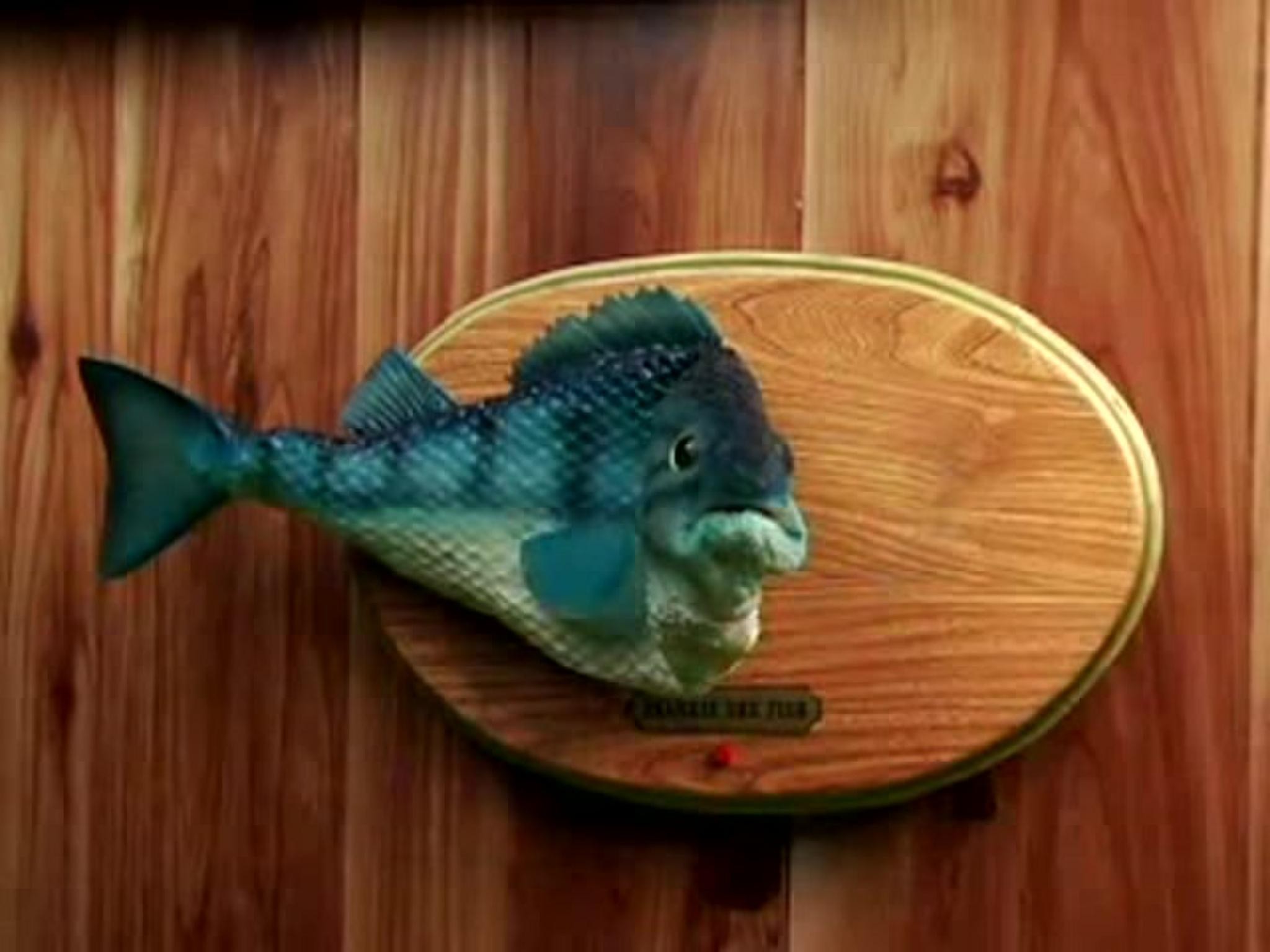 FILET O' FISH SANDWICH | Campaign | THE WORK