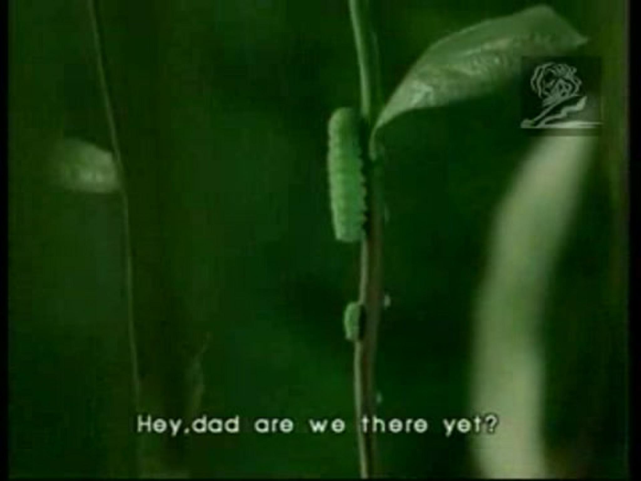 UNIF GREEN TEA | Campaign | THE WORK