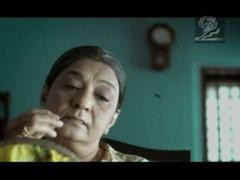 TORTOISE MOSQUITO COIL | Campaign | THE WORK