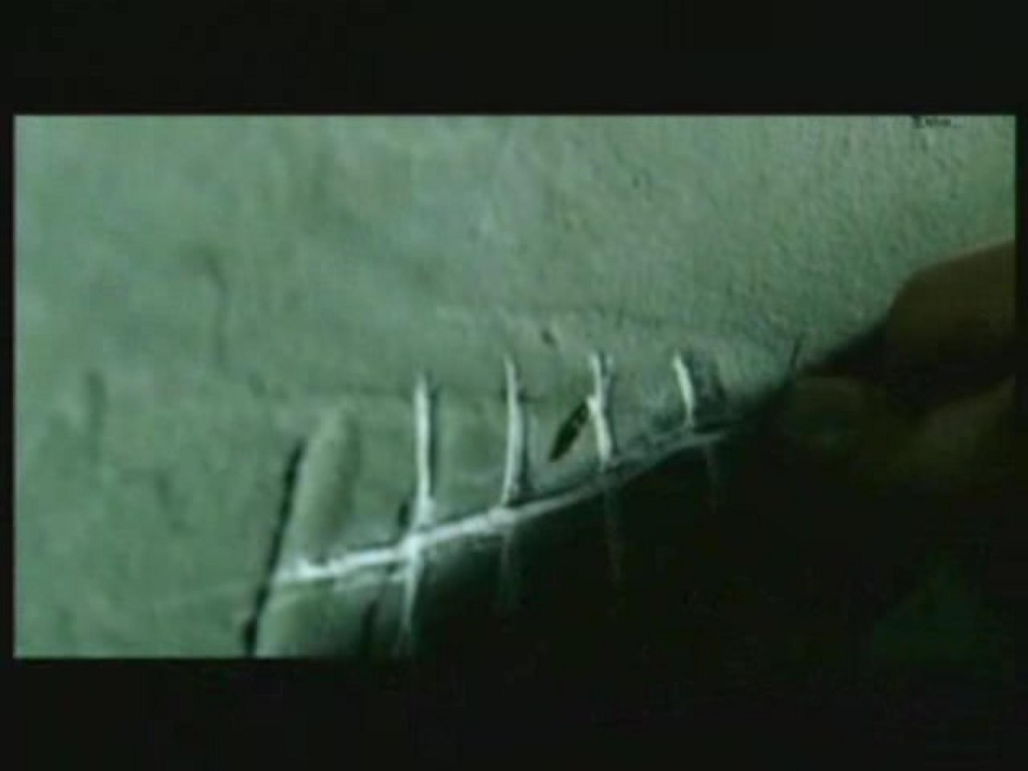 HUMAN RIGHTS AWARENESS | Campaign | THE WORK