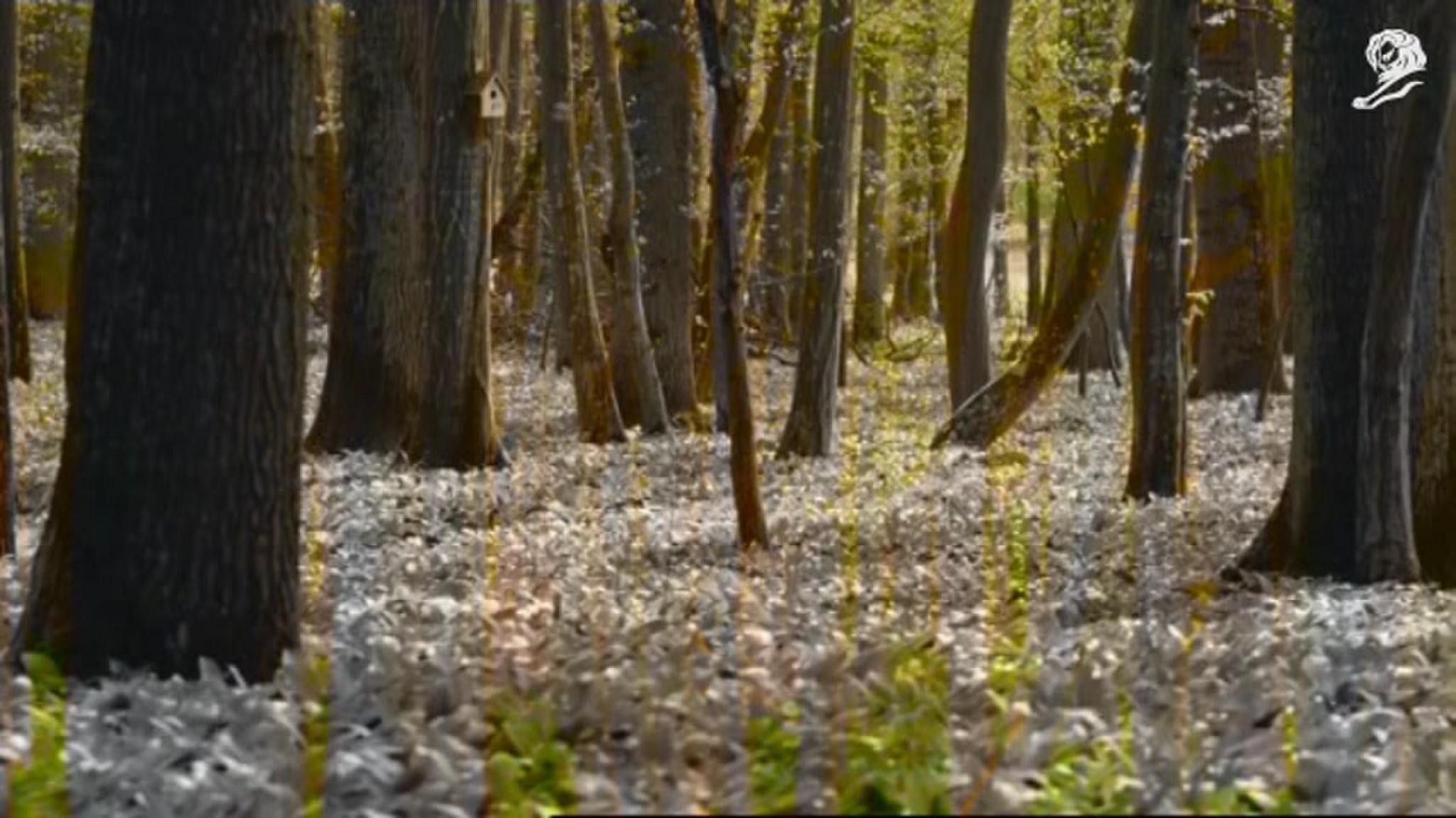 ROBINSON'S BE NATURAL | Campaign | THE WORK